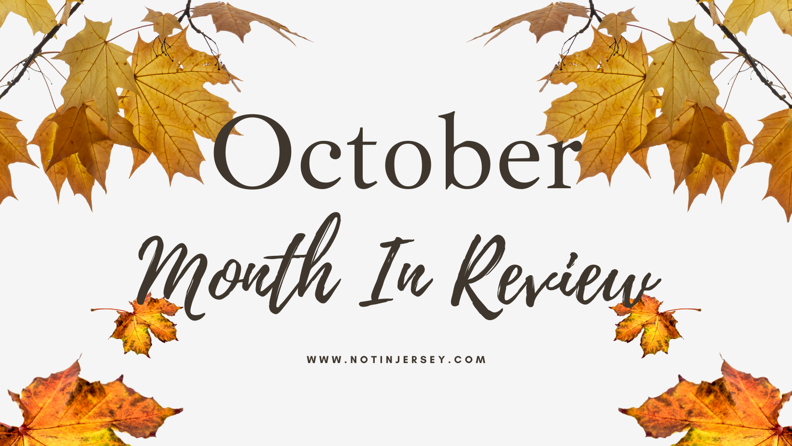 October 2024 - Month In Review - Not In Jersey
